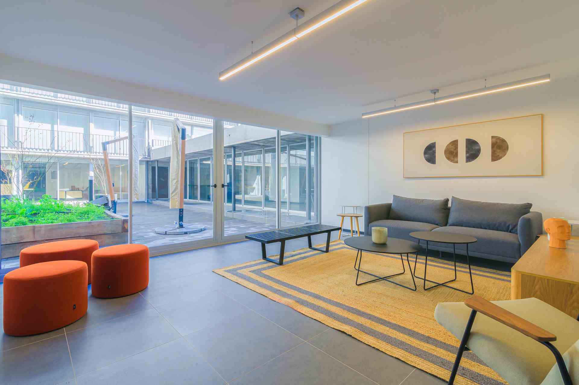 Conoce los proyectos que tenemos para ti: